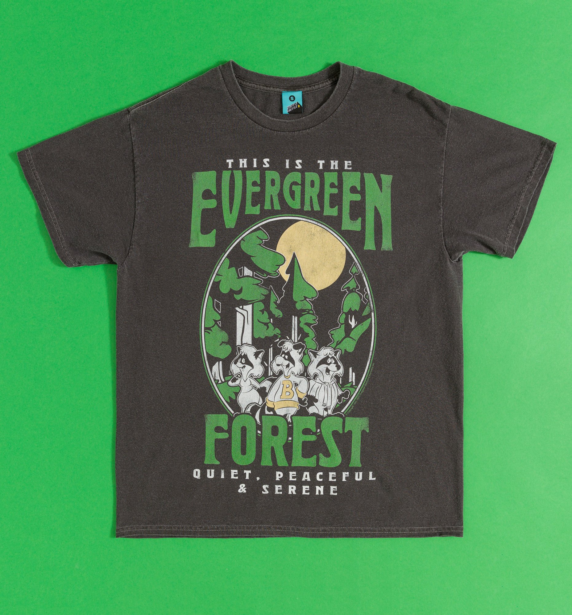 The Raccoons This Is The Evergreen Forest Vintage Wash Charcoal T-Shirt